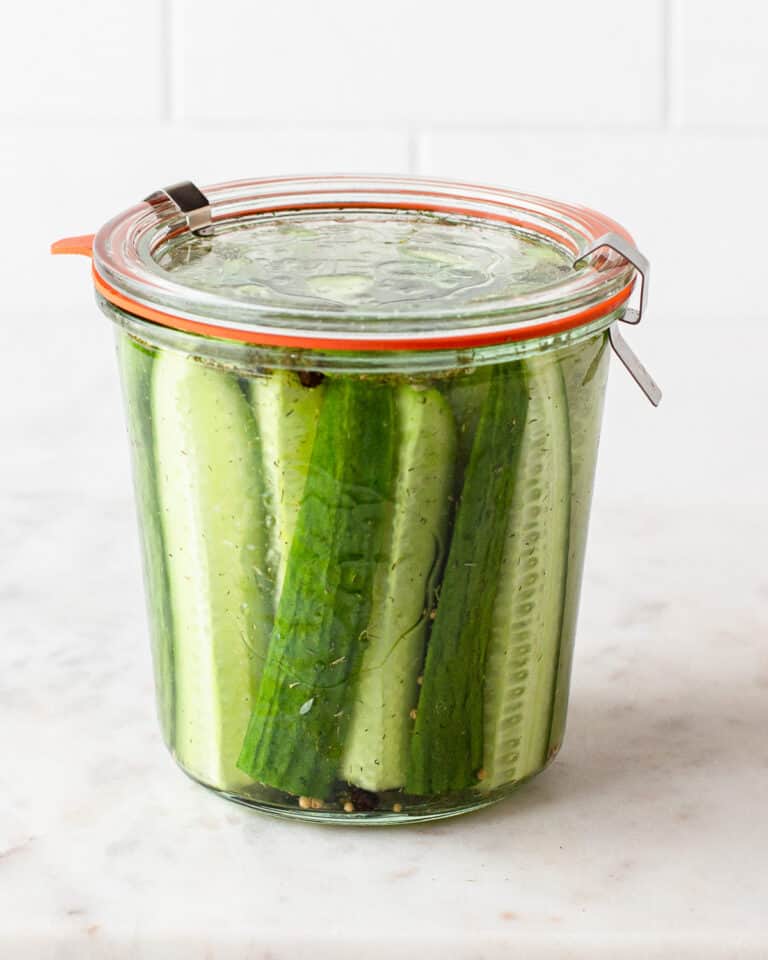 Pickled Baby Cucumbers - Cooking With Elo