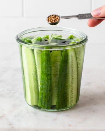 Pickled Baby Cucumbers - Cooking With Elo