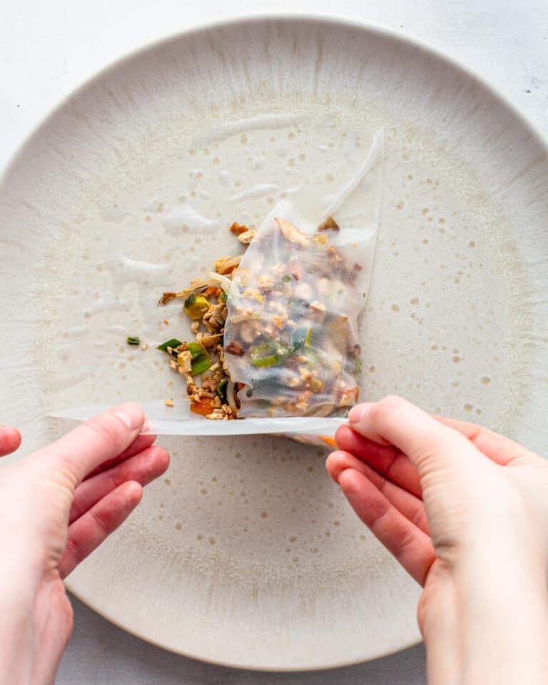 Vegan Rice Paper Dumplings (With Shredded Tofu) - Cooking With Elo