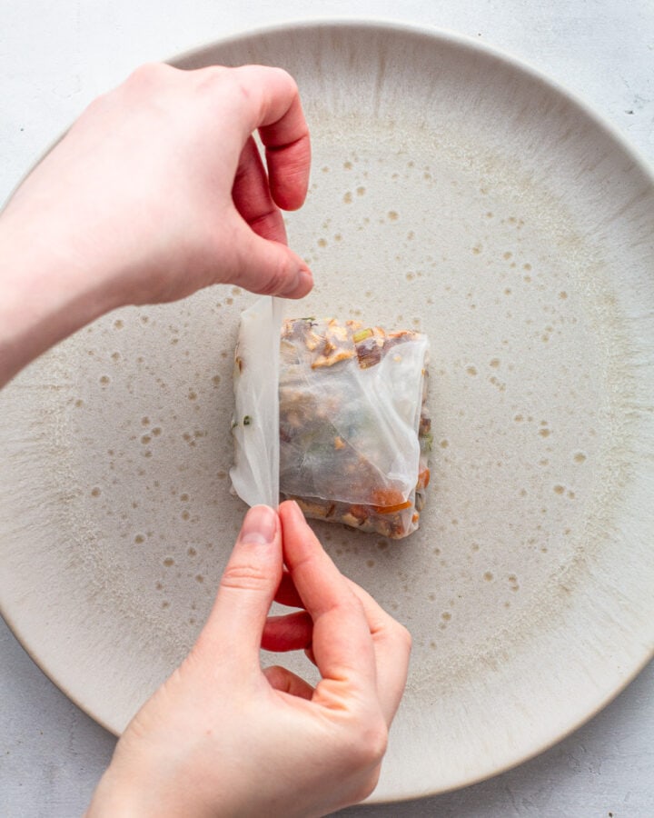 Vegan Rice Paper Dumplings (With Shredded Tofu) - Cooking With Elo